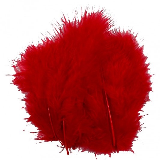 CC Feathers Red 15 pieces iHobby